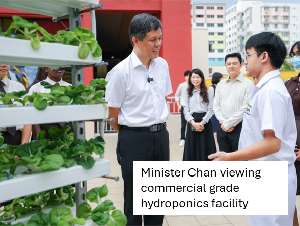 STEM Talent Development